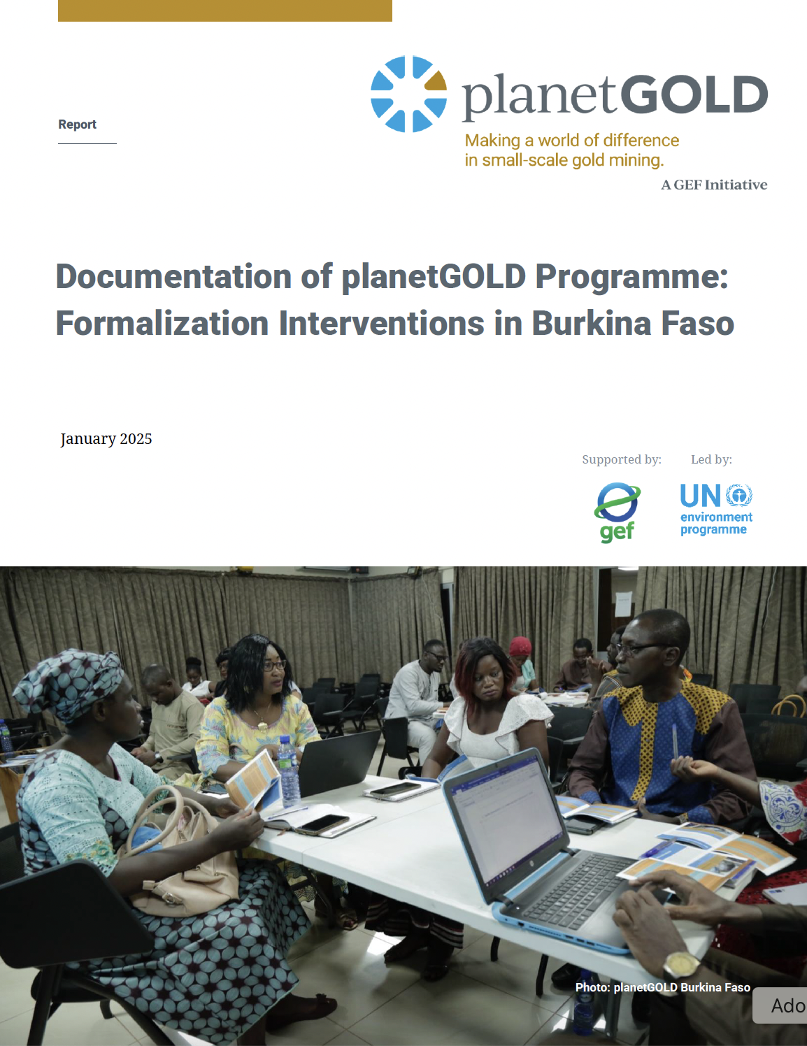Documentation of planetGOLD Programme: Formalization Interventions in ...
