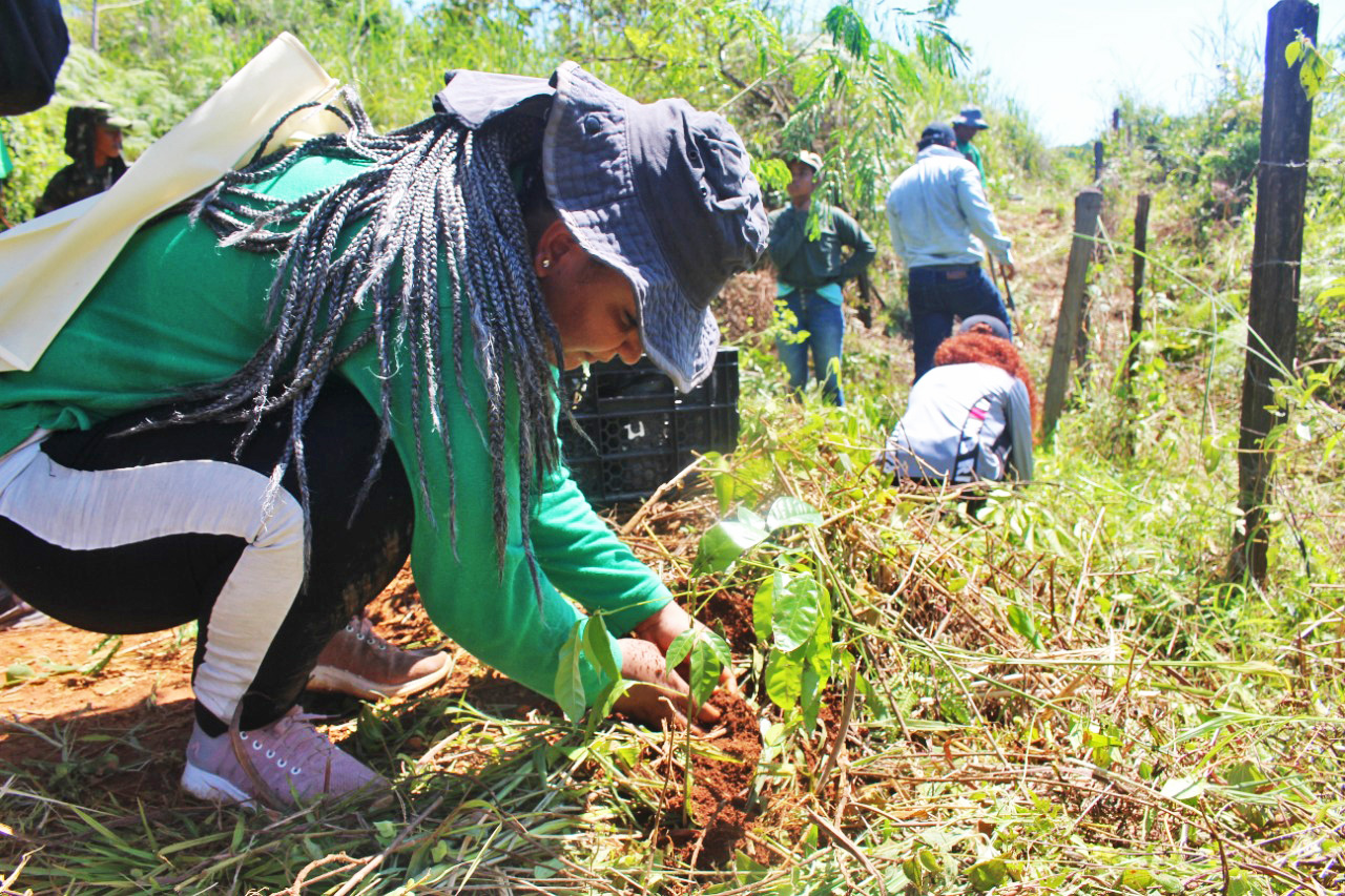 Habitantes de El Bagre, Antioquia, sembraron esperanza para una ...